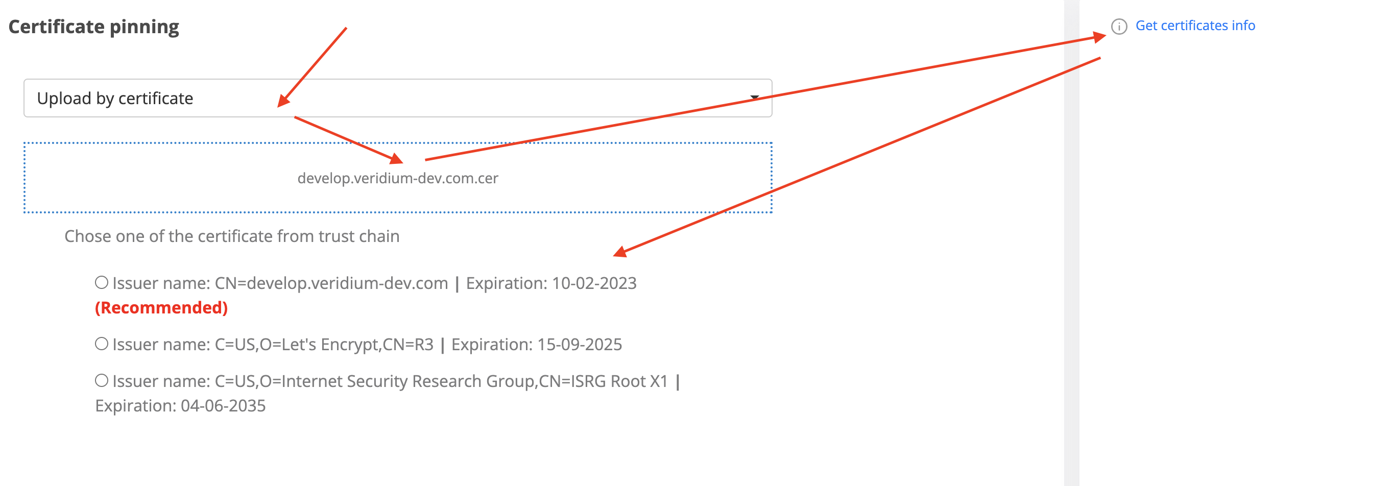 Certificate pinning usage guide